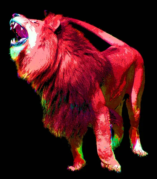 Red Lion Animal