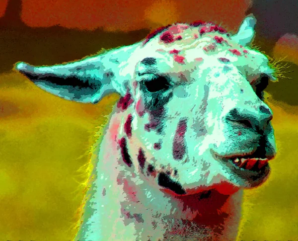 Lamas images libres de droit, photos de Lamas | Depositphotos