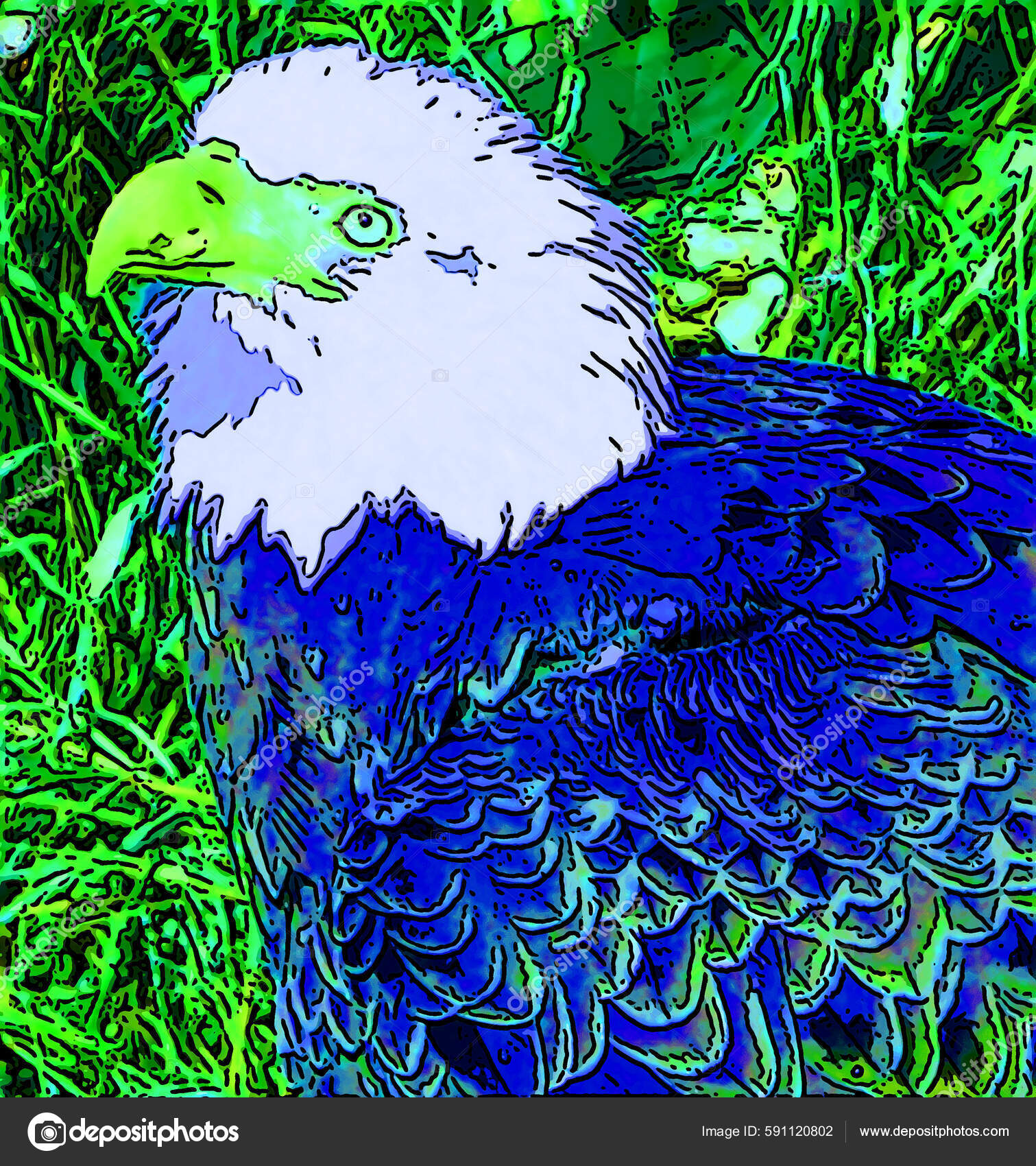 American Bald Eagle Sign Illustration Pop Art Background Icon Vivid ...