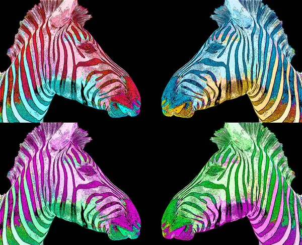 Animal cmyk Stock Photos, Royalty Free Animal cmyk Images | Depositphotos