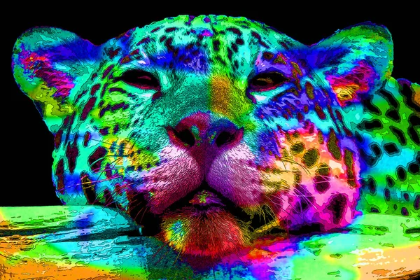 Animal cmyk Stock Photos, Royalty Free Animal cmyk Images | Depositphotos