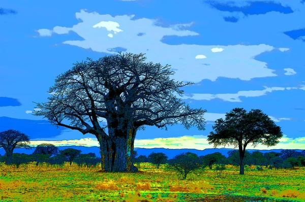 Paisaje baobab Stock Photos, Royalty Free Paisaje baobab Images ...