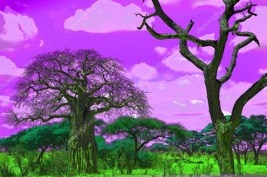 Baobab o boab, boaboa, árbol de botella, árbol al revés y árbol de pan de mono El Parque ...