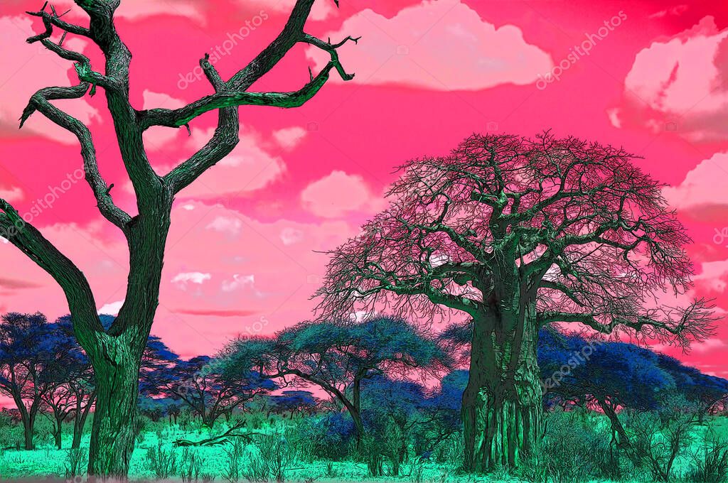 Baobab o boab, boaboa, árbol de botella, árbol al revés y árbol de pan ...