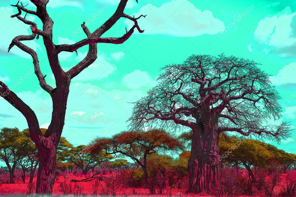 Baobab o boab, boaboa, árbol de botella, árbol al revés y árbol de pan ...