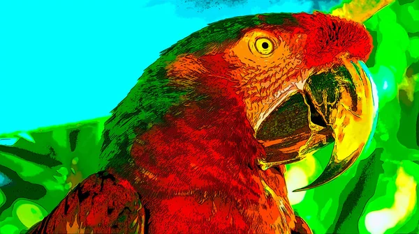 Dead parrot Stock Photos, Royalty Free Dead parrot Images | Depositphotos