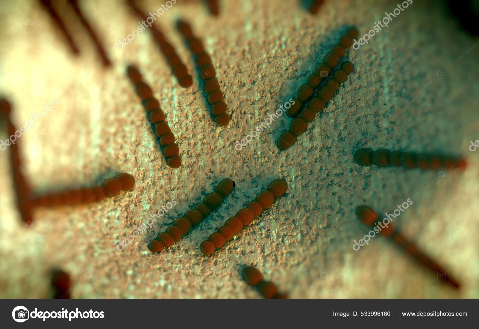 Streptococcus Pneumoniae Pneumococcus Gram Positive Coccus Shaped ...