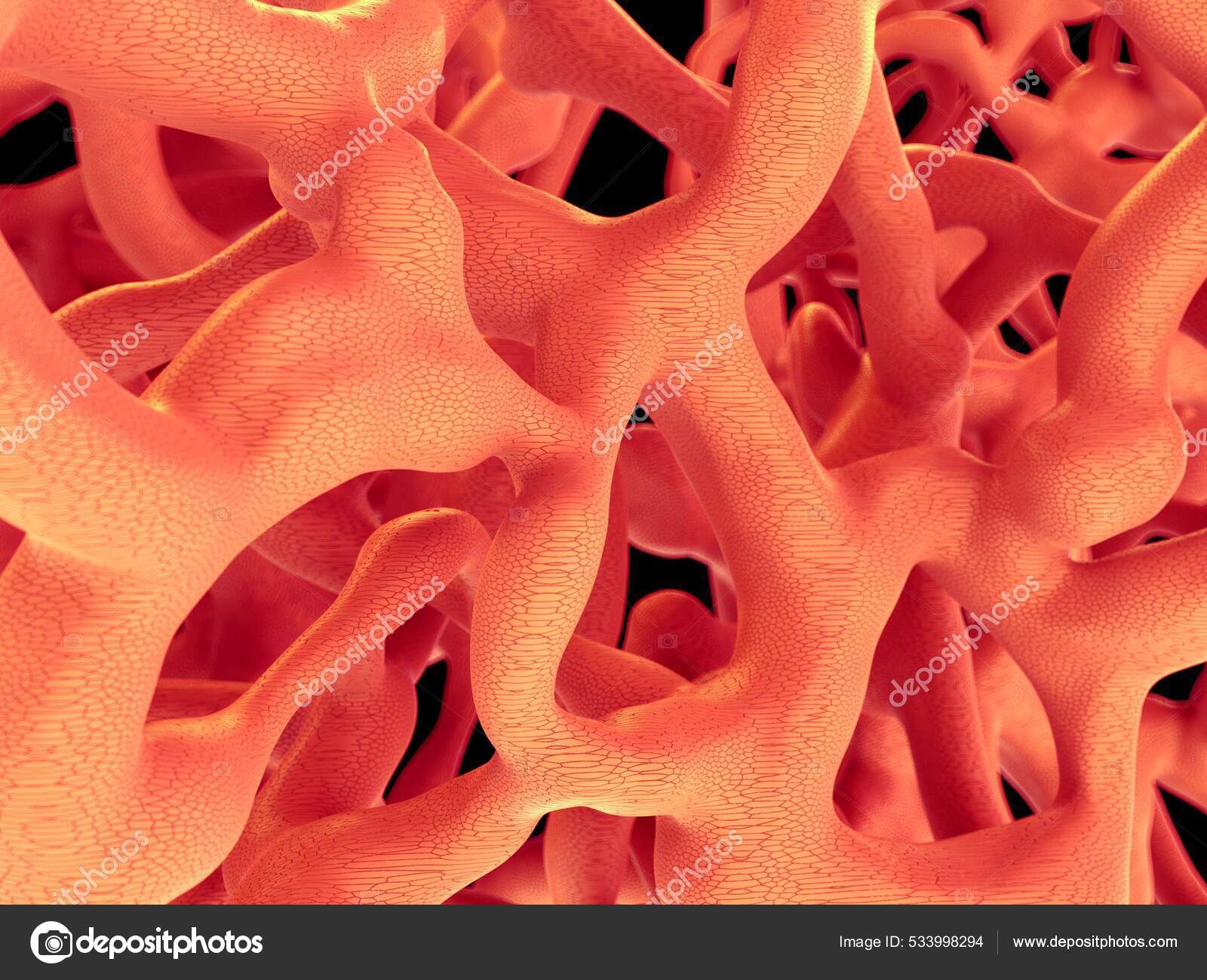 Closeup Bone Tissue — Stock Photo © Peddalanka Ramesh Babu #533998294