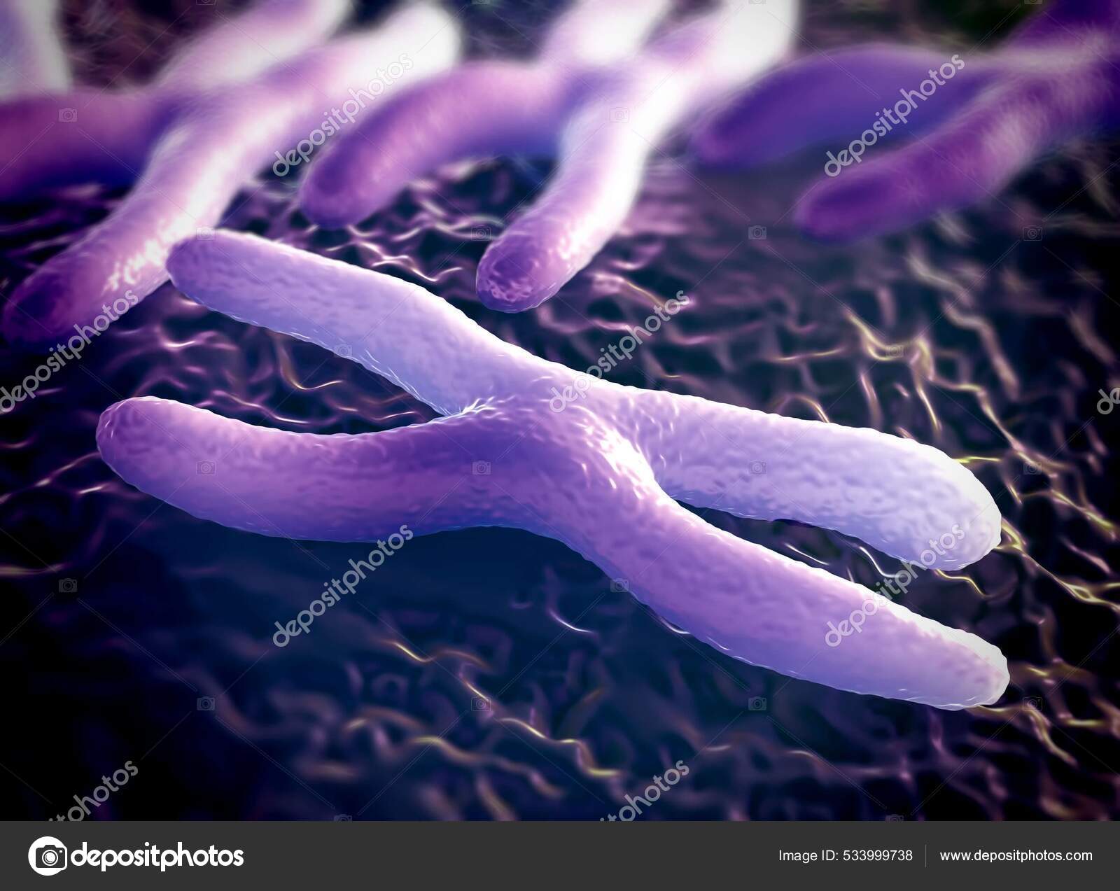 Porphyria Purple Poop