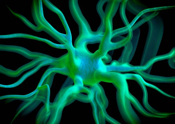 Neuronas o c lulas nerviosas que forman parte del sistema nervioso y que procesan y transmiten ...