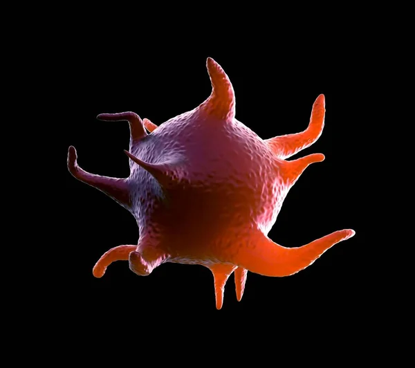 Platelet cells Stock Photos, Royalty Free Platelet cells Images ...