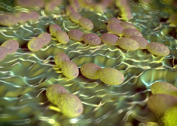 Antibiotics attacking bacteria Stock Photos, Royalty Free Antibiotics ...