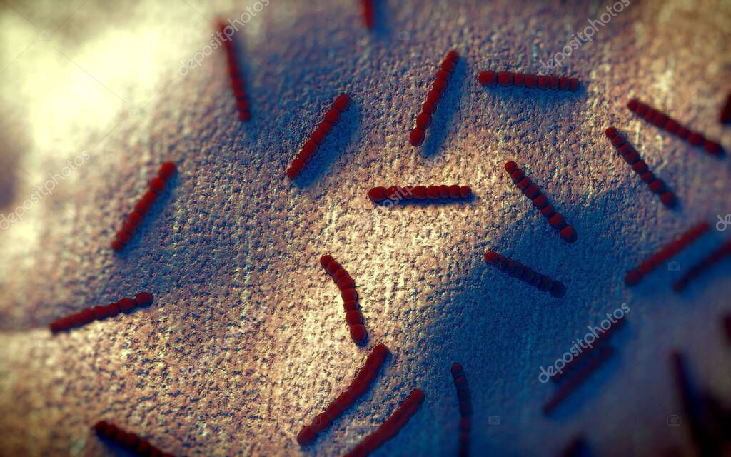 Streptococcus pneumoniae, o neumococo, es una bacteria patógena en ...