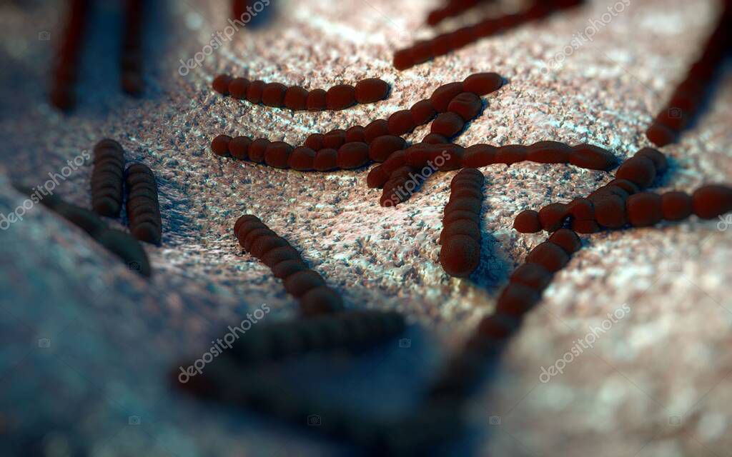 Streptococcus pneumoniae, o neumococo, es una bacteria patógena en ...