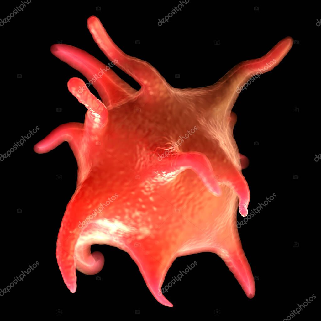 plaquetas de sangre activada ilustración de fotos microscópicas 2024