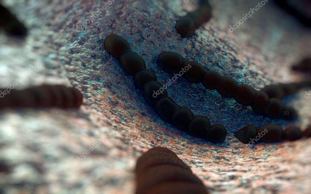 Streptococcus pneumoniae, o neumococo, es una bacteria patógena en ...