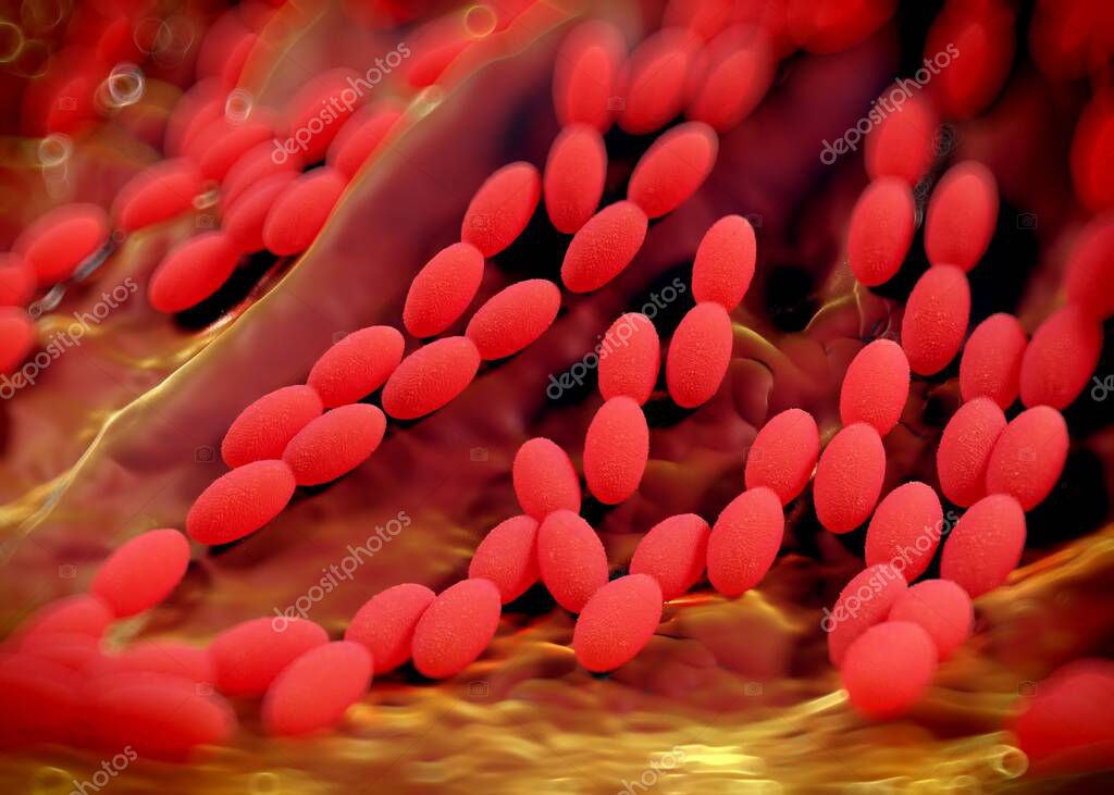 representación 3d - bacterias acetobacter 2023