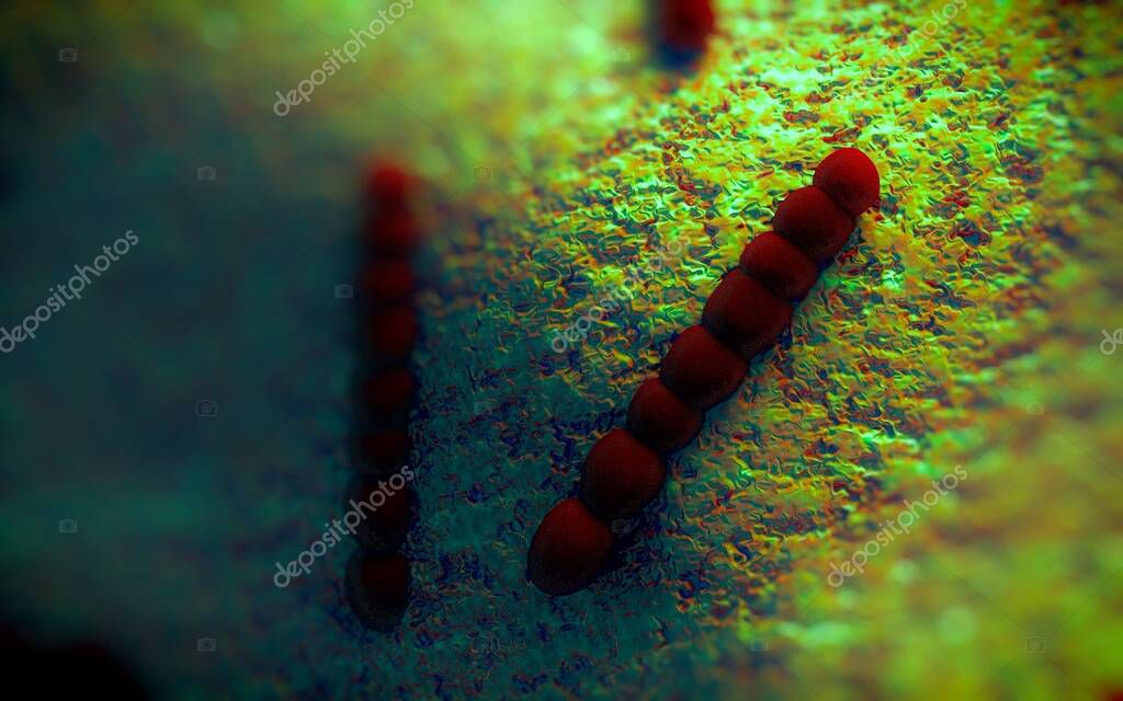 Streptococcus pneumoniae, o neumococo, es una bacteria patógena en ...
