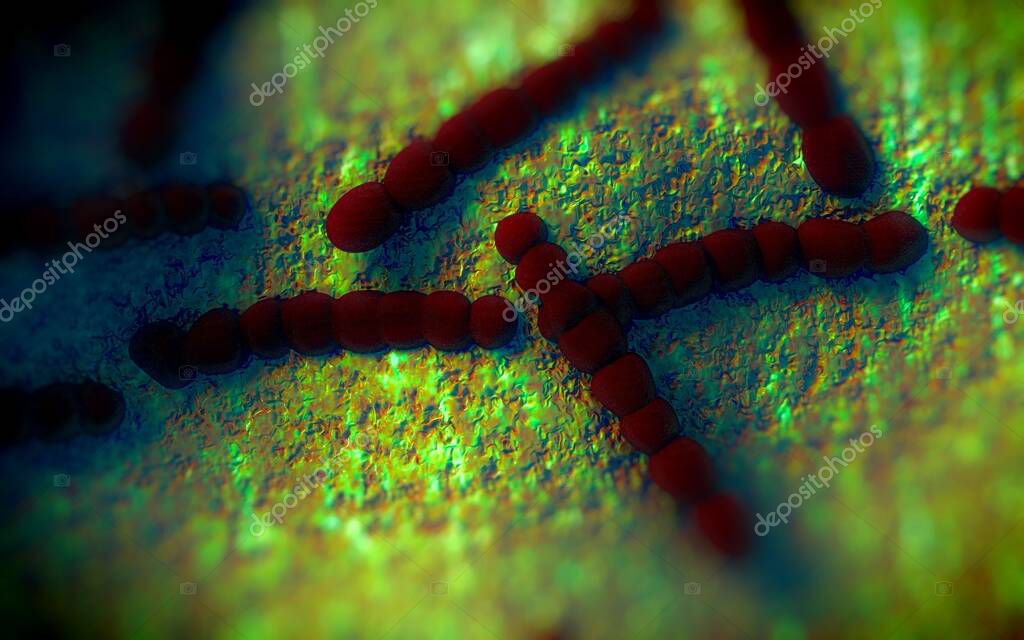 Streptococcus pneumoniae, o neumococo, es una bacteria patógena en ...