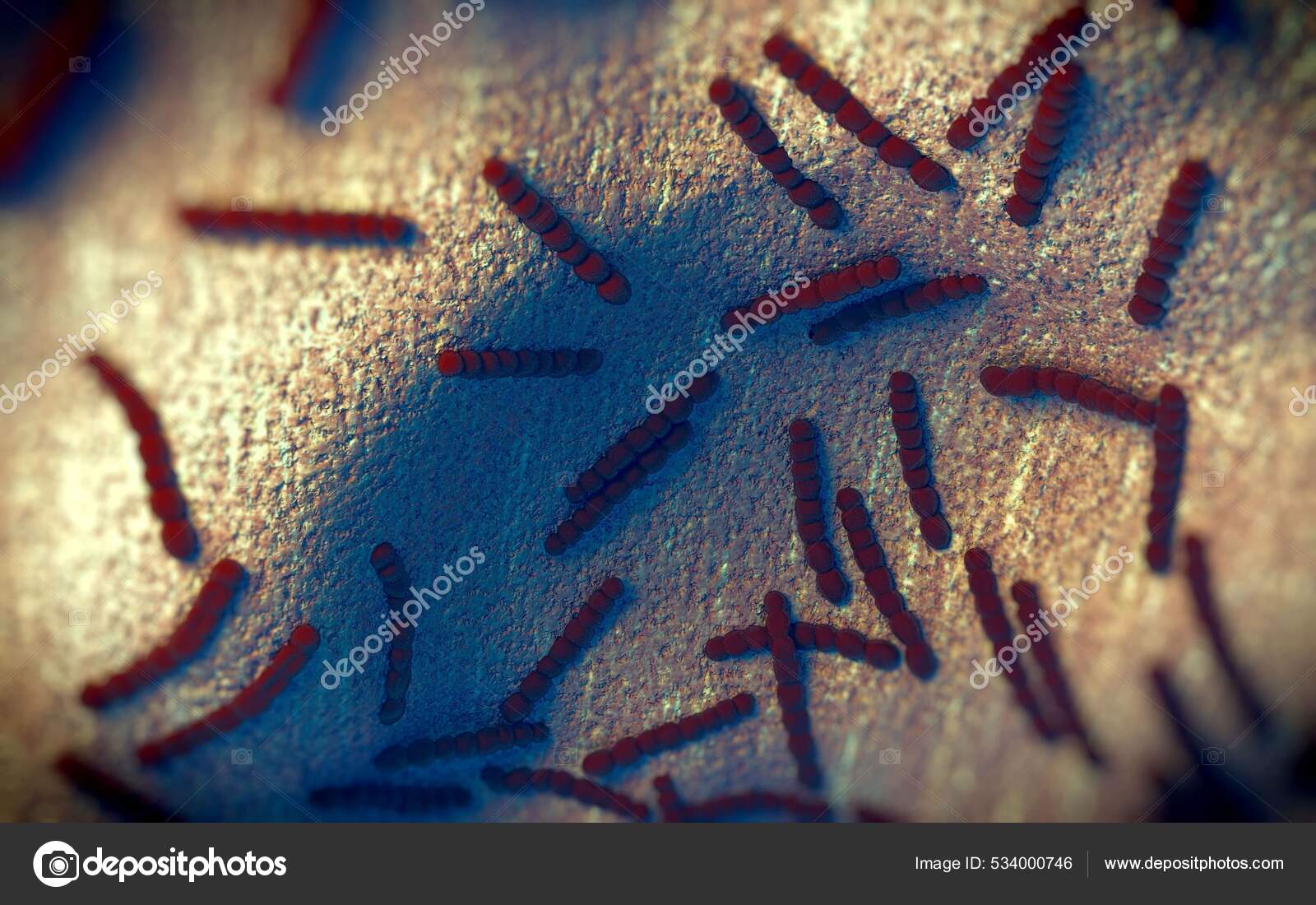 Streptococcus Pneumoniae Pneumococcus Gram Positive Coccus Shaped ...