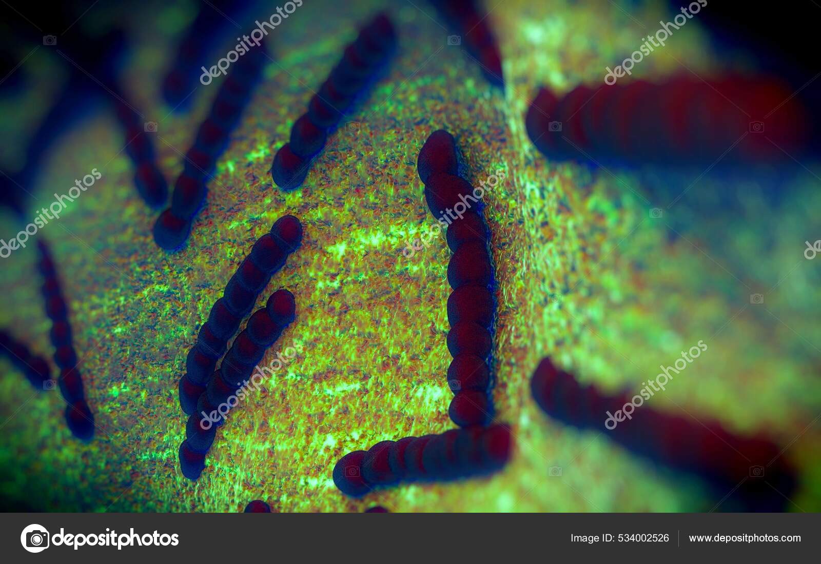Streptococcus Pneumoniae Pneumococcus Gram Positive Coccus Shaped ...