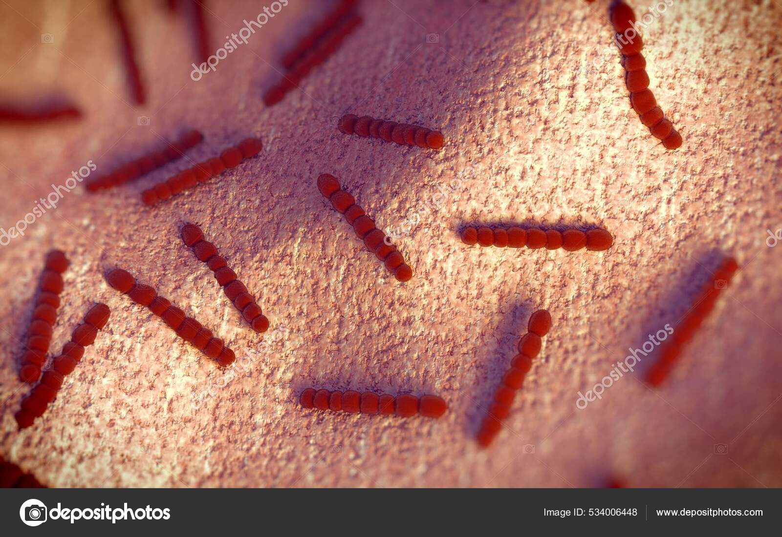 Streptococcus Pneumoniae Pneumococcus Gram Positive Coccus Shaped ...