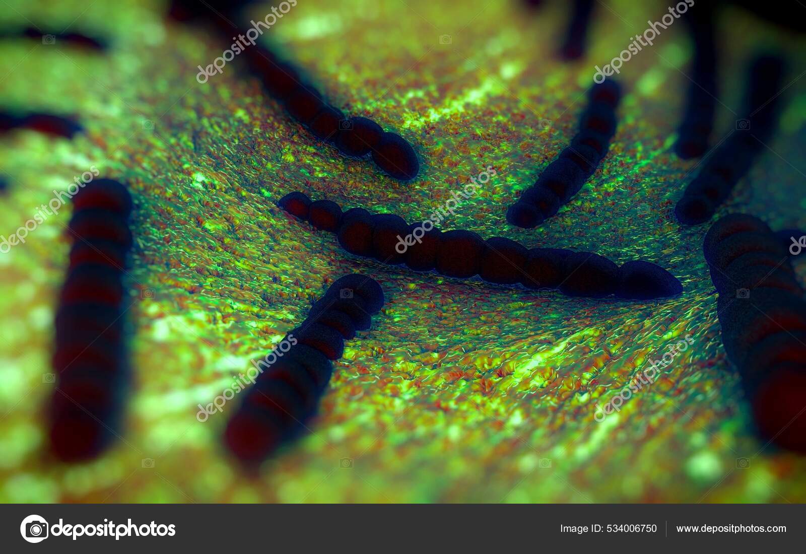 Streptococcus Pneumoniae Pneumococcus Gram Positive Coccus Shaped ...