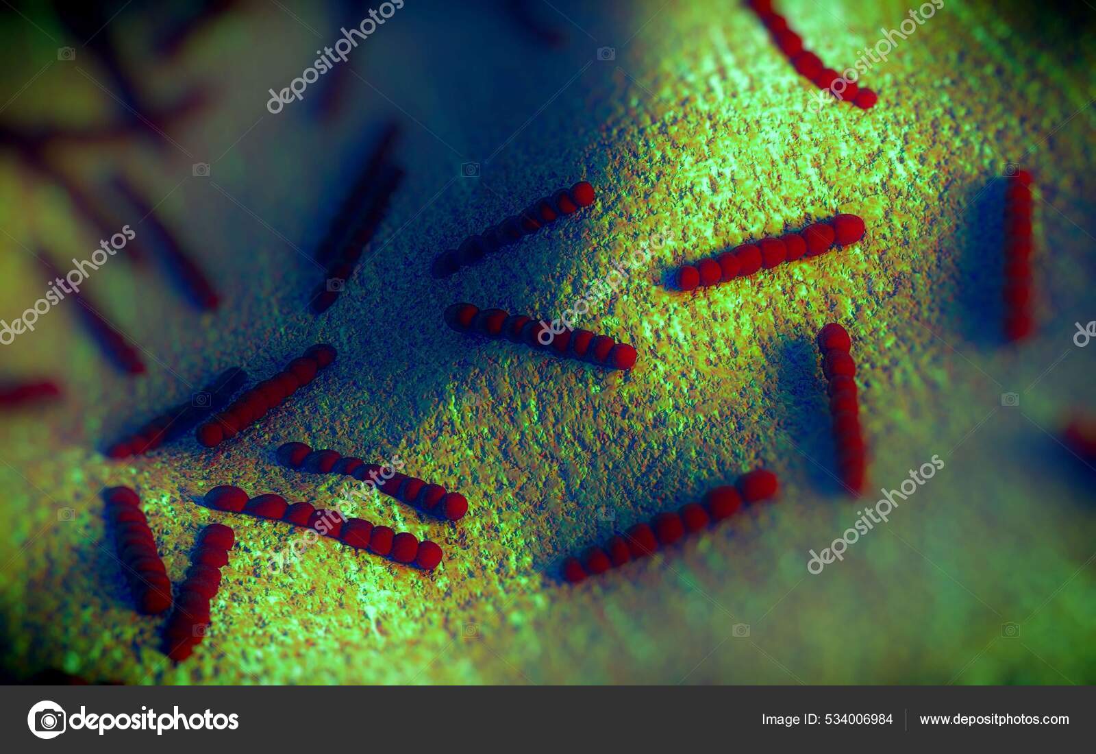 Streptococcus Pneumoniae Pneumococcus Gram Positive Coccus Shaped ...
