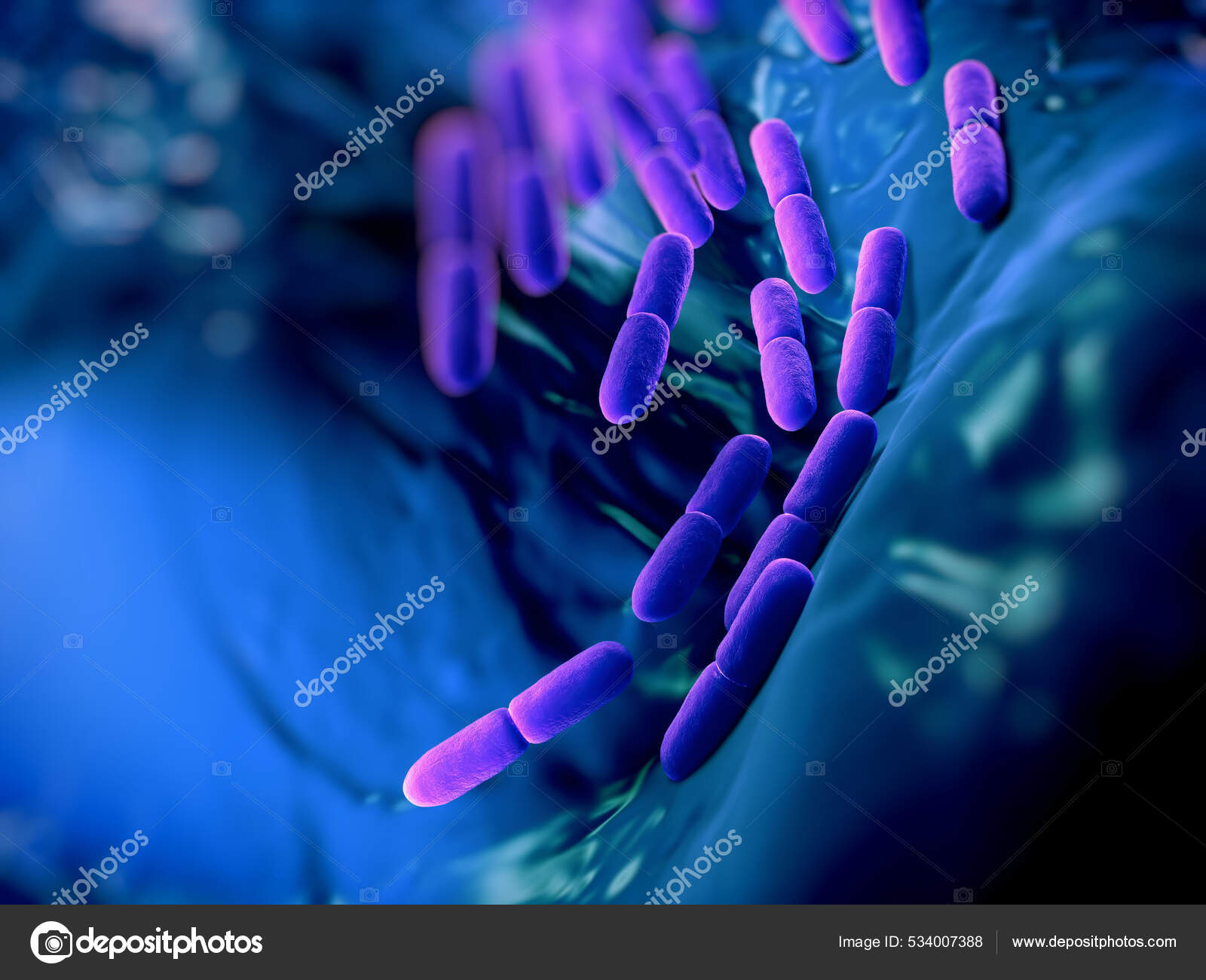 Acidophilic Bacteria