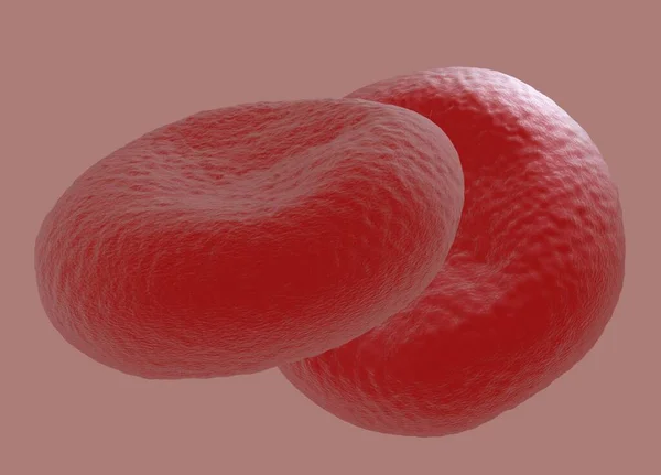 100,000 Erythrozyten Vector Images | Depositphotos