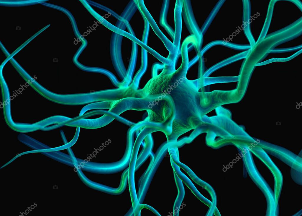 Neuronas o células nerviosas que forman parte del sistema nervioso y ...