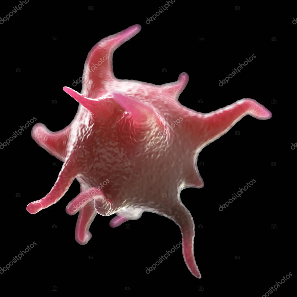 plaquetas de sangre activada ilustración de fotos microscópicas 2022