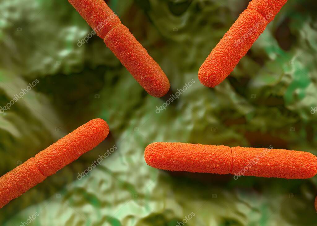 Clostridium Botulinum Bacterium Ilustración Ilustración Ilustración 2023