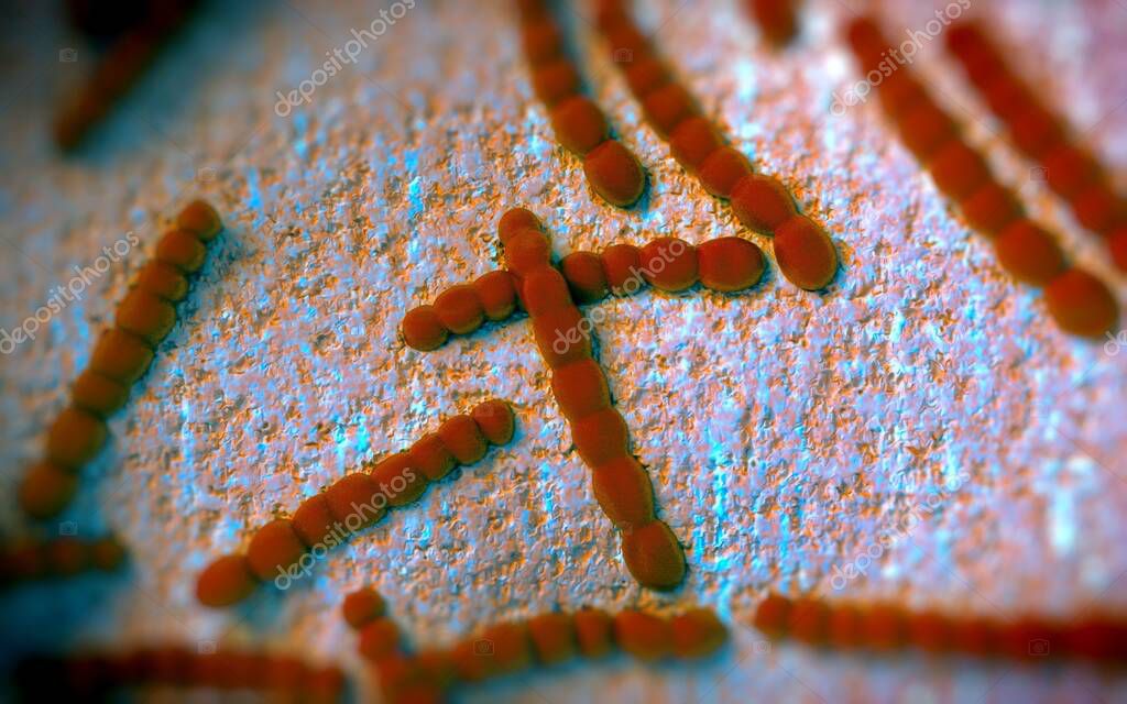Streptococcus pneumoniae, o neumococo, es una bacteria patógena en ...