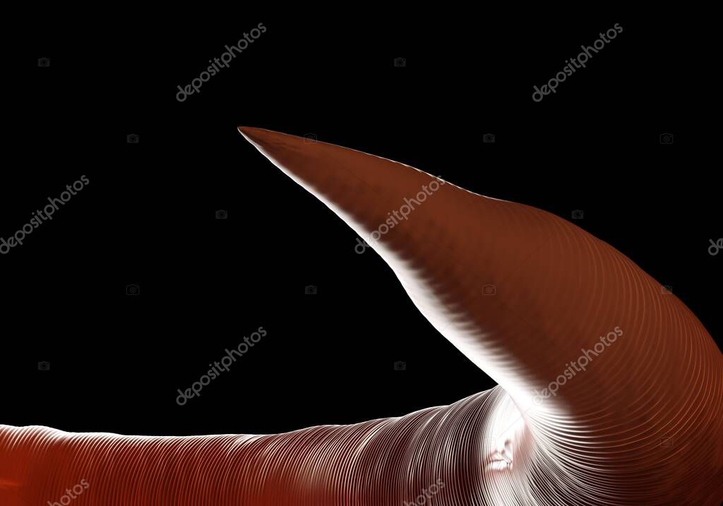 3d rendering - gusano de nematodo 2022