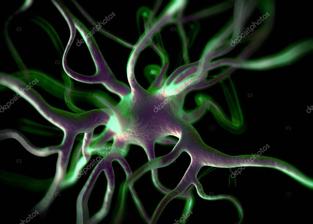 Neuronas o células nerviosas que forman parte del sistema nervioso y ...