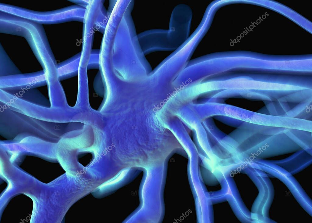 Neuronas o c lulas nerviosas que forman parte del sistema nervioso y que procesan y transmiten ...