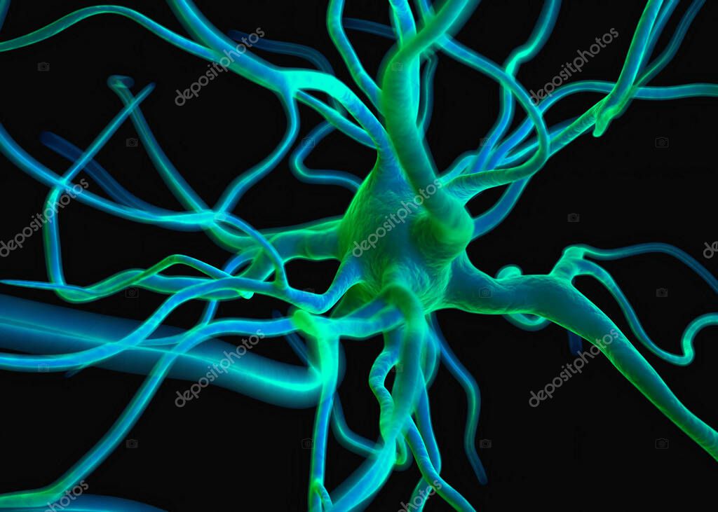 Neuronas o células nerviosas que forman parte del sistema nervioso y ...