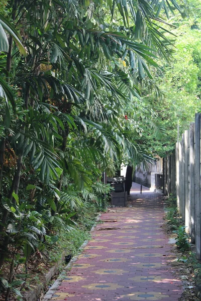 Gardeners street Stock Photos, Royalty Free Gardeners street Images ...