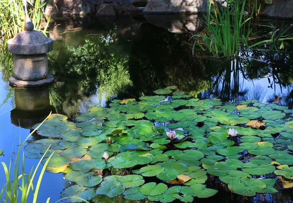 Pond sculpture Stock Photos, Royalty Free Pond sculpture Images ...