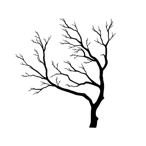 Simple Bare Tree Outline