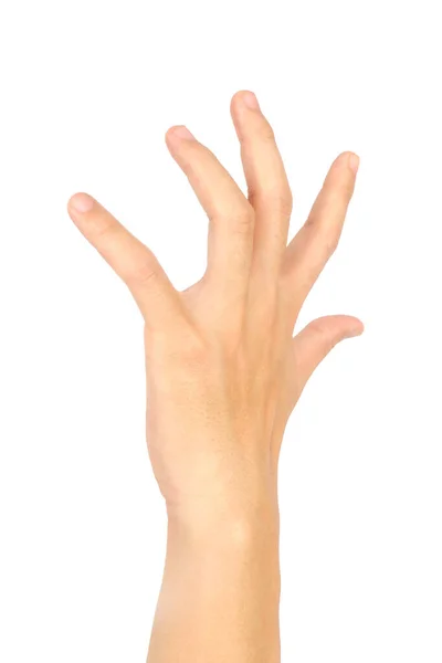 Left Hand Gestures Male Symbols Isolated White Background Clipping Path ...