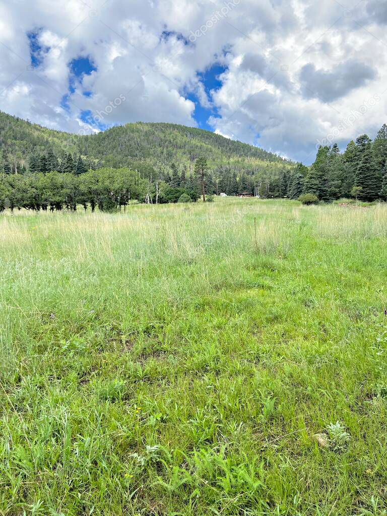 Gran prado que sube una montaña con una cabaña en la cima. Campamento ...
