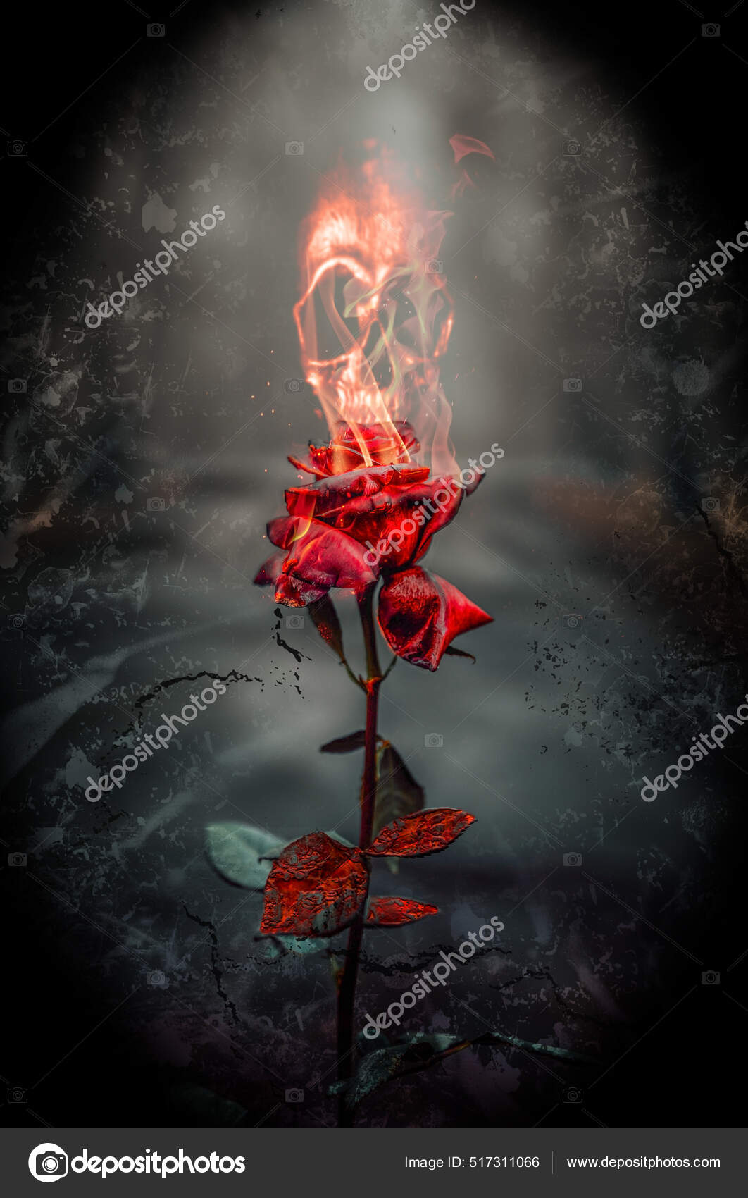 Burning Red Rose Forest Human Skull Comes Out Burning Rose — Stock ...
