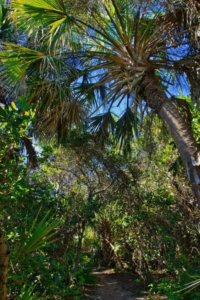 Oba state park Stock Photos, Royalty Free Oba state park Images ...