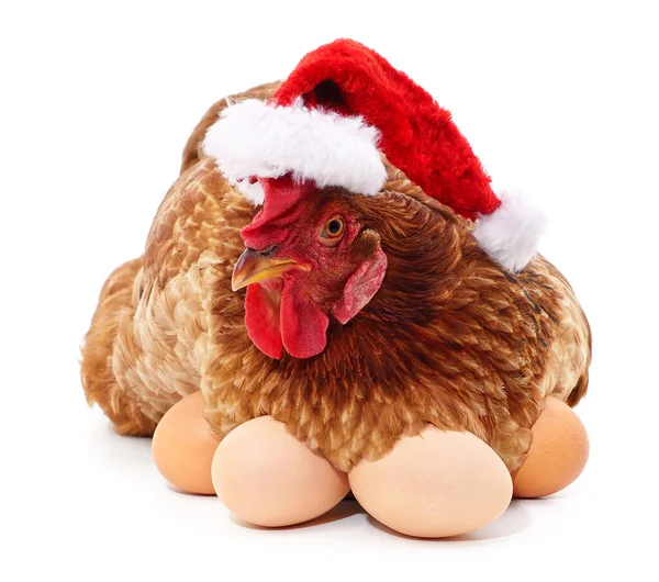 Christmas chickens Stock Photos, Royalty Free Christmas chickens Images ...