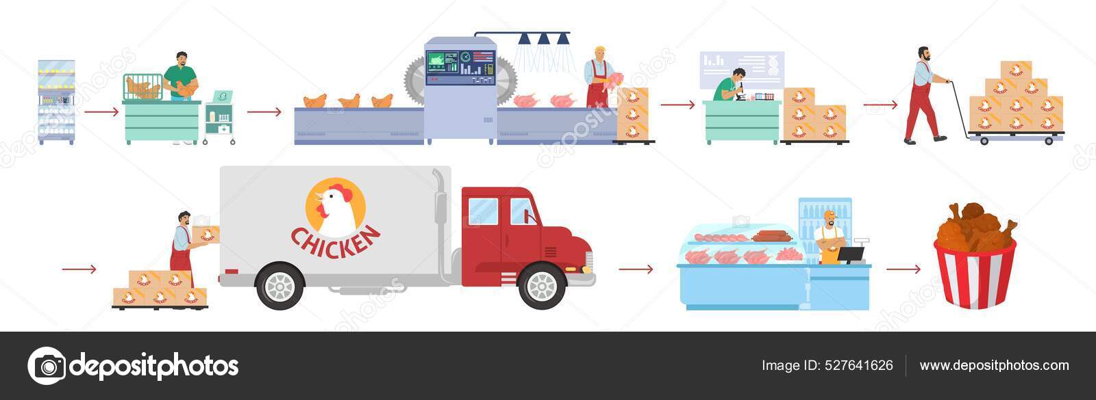 Poultry farming, meat production vector infographic. Chicken factory ...