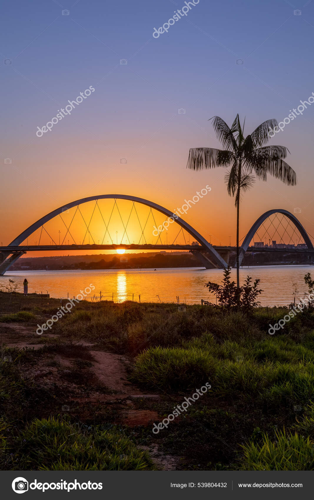 Sunset Bridge Brasilia Brazil Silhouette Palm Tree Shore Lake Parano ...