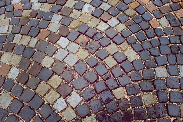 Pavé mosaïque images libres de droit, photos de Pavé mosaïque ...