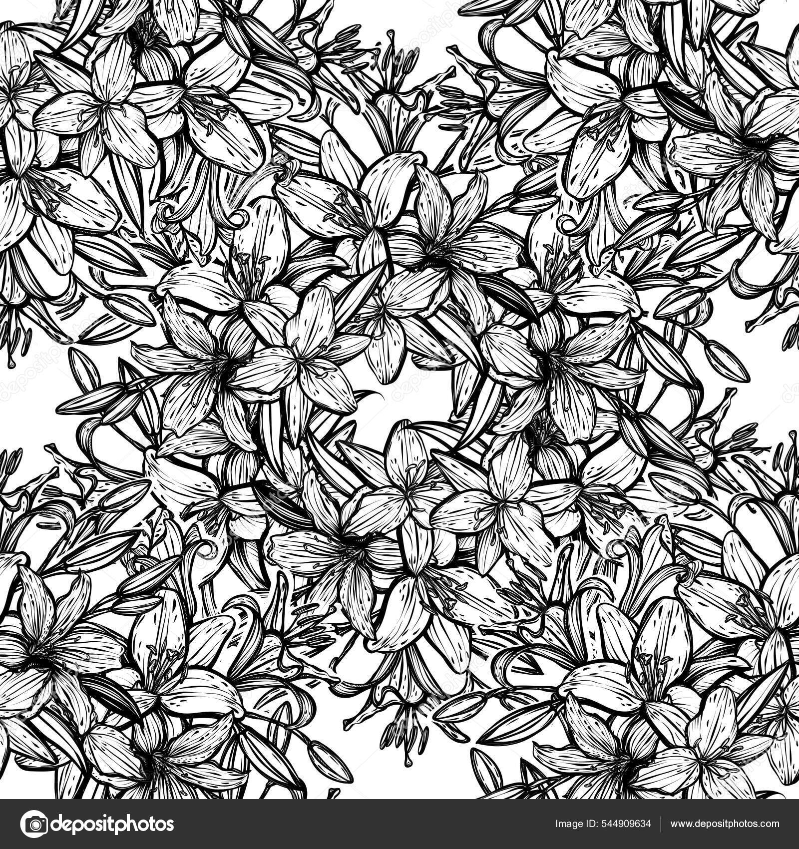 Botanical Vector Illustration Summer Lilium Flowers Bouquet Flowers ...